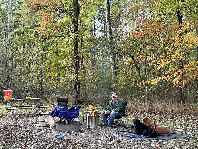The ultimate camping companions. These dogs have mastered the art of relaxation while their human tends the fire.