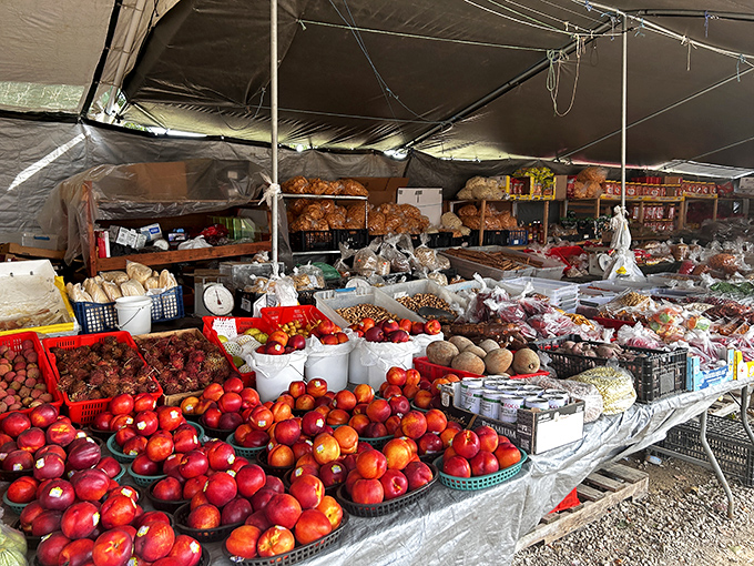 The produce section rivals any farmers market, offering locally grown fruits and vegetables that haven't seen the inside of a shipping container.