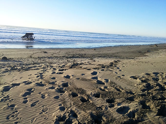 The shipwreck appears as a distant mirage across the vast beach, footprints in the sand marking pilgrimages to this iconic Oregon landmark.