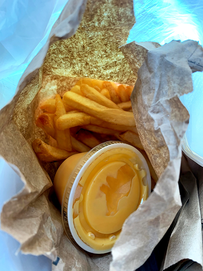 Golden fries with cheese sauce that glows like liquid sunshine. The perfect sidekick to any sandwich adventure at Leo's.