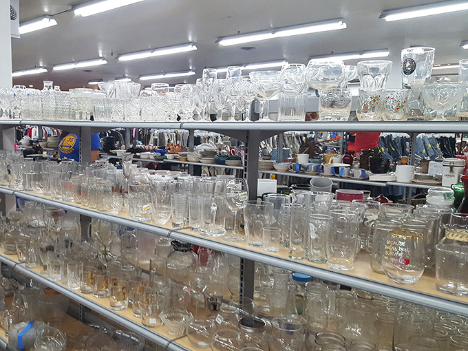 Glassware galore! From everyday tumblers to special occasion crystal, these shelves hold vessels ready to contain everything from morning orange juice to evening cocktails.