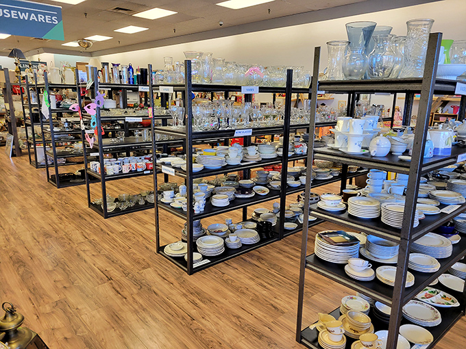 Dish paradise! From everyday plates to special occasion crystal, these shelves hold the potential for countless future family dinners and celebrations.