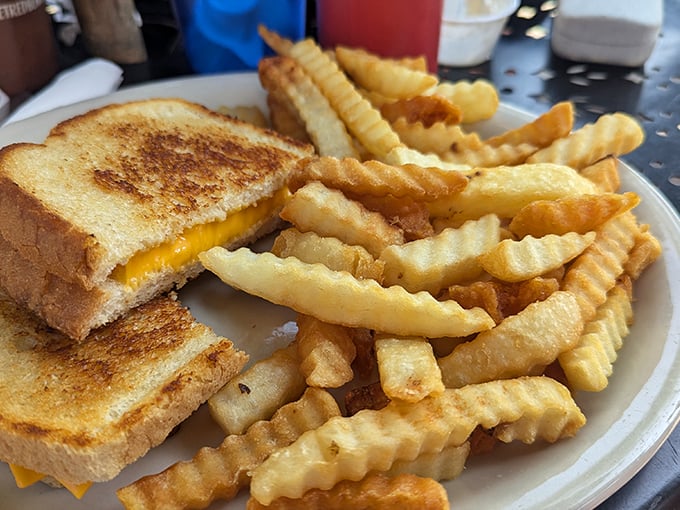 A grilled cheese sandwich that achieves that perfect golden exterior, with fries crispy enough to make a potato proud. Comfort food that transcends generations.