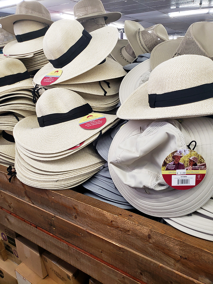 Panama hat paradise for your inner Hemingway. Beach-ready headgear that screams "I'm on vacation" without saying a word.