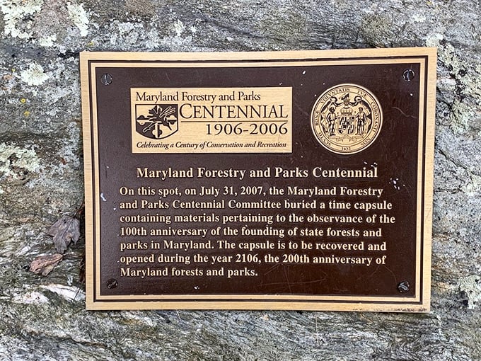 A time capsule buried in 2007 won't be opened until 2106. Talk about delayed gratification for future park visitors!