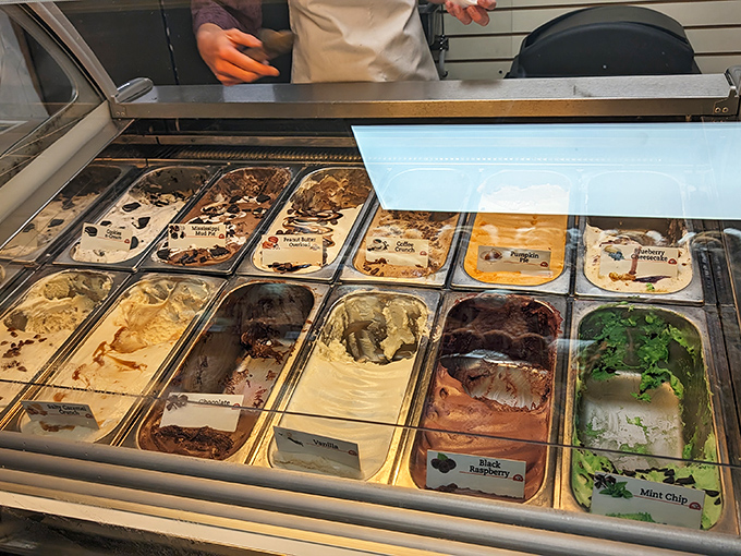 Ice cream case offering flavors that make choosing just one feel like Sophie's Choice: The Dessert Edition.