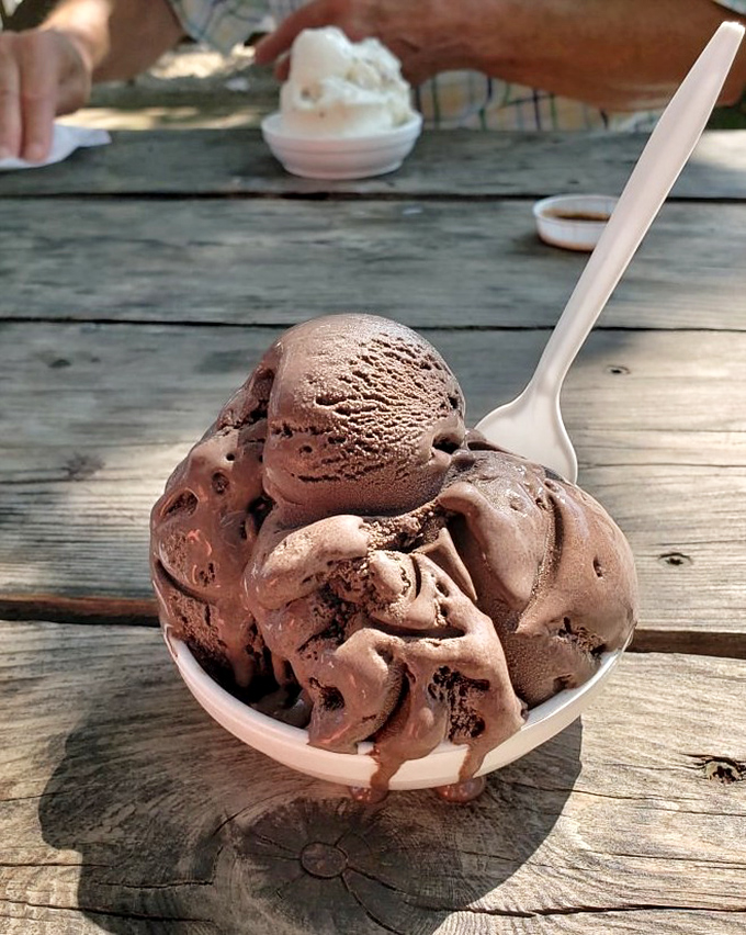 Rich chocolate ice cream provides the perfect sweet ending to any dawg house adventure.