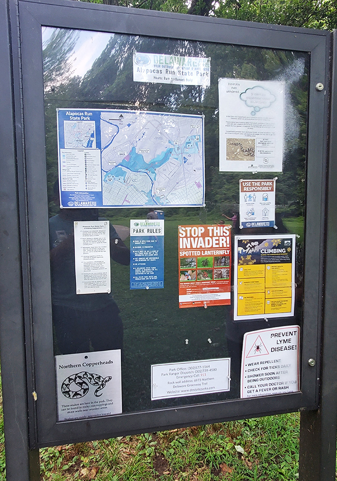 The information board: where "Stop This Invader!" refers to lanternflies, not your in-laws who overstay their welcome.