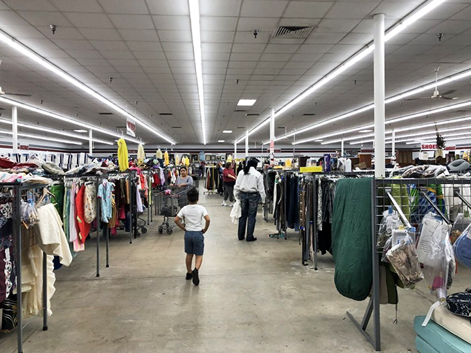 The vastness of the store stretches before shoppers like an urban savanna, where patient hunters track elusive bargains through aisles of possibility.