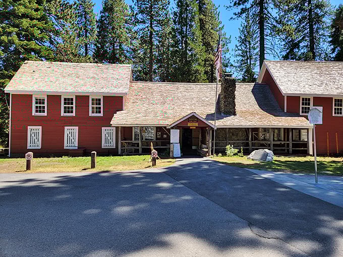 History painted red. The museum buildings preserve Gold Rush tales within walls that have weathered more California seasons than most residents.