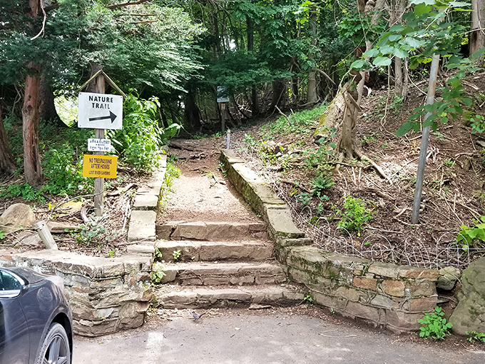 The nature trail beckons with steps that promise a journey both above and below ground. Pennsylvania's version of "choose your own adventure."