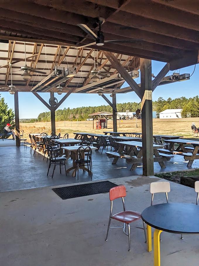 Al fresco dining with a view of the runway. Only at Pik N Pig can you watch small planes land while demolishing a rack of ribs.