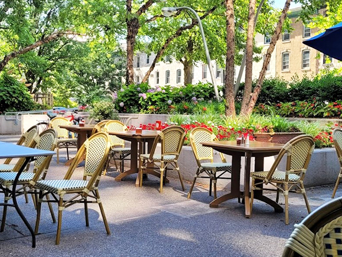 Garden dining that feels like a secret discovery. These tables nestled among greenery offer a tranquil escape from Philadelphia's urban hustle.