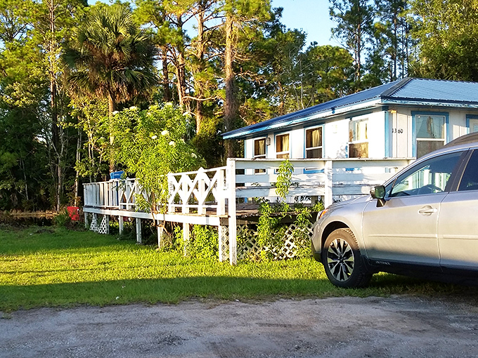 Nestled among Florida pines, this humble seafood shack is worth the drive from anywhere in the Sunshine State.