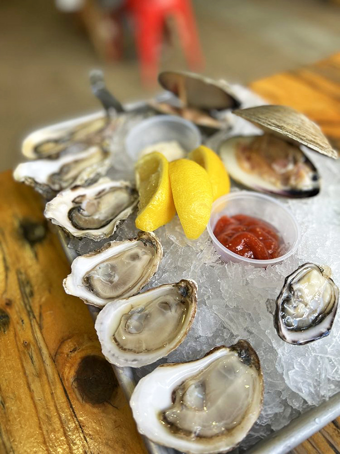 Oysters on ice&mdash;nature's perfect appetizer. These briny beauties with lemon wedges and cocktail sauce are like a refreshing ocean breeze on a plate.