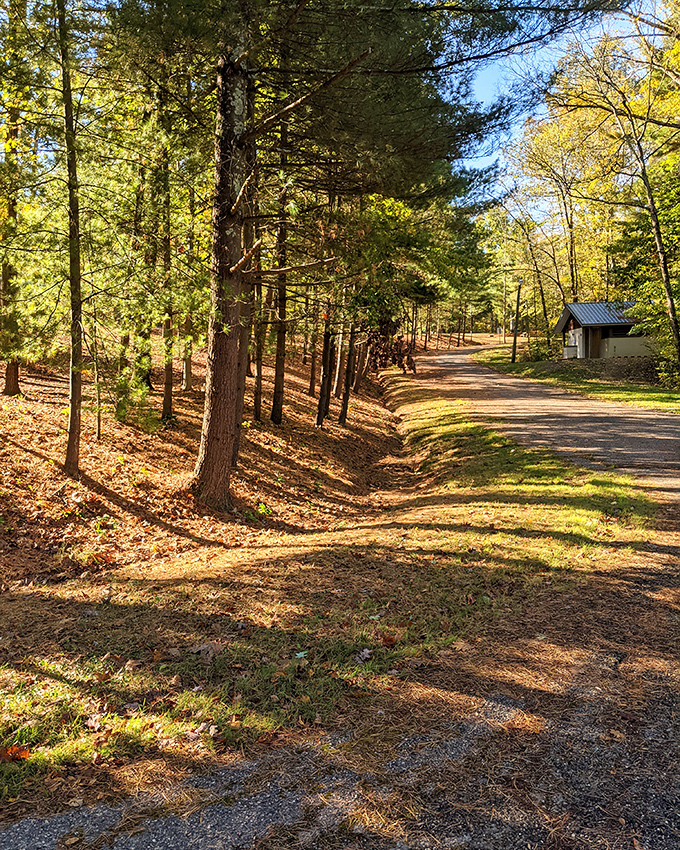 Tree-lined paths invite leisurely strolls where the biggest decision is which direction leads to more beautiful scenery.