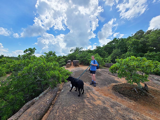 Even four-legged explorers appreciate the park's wonders&mdash;this happy pup seems just as impressed with the ancient landscape as its human companions.