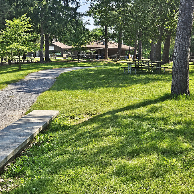 Picnic paradise nestled among towering pines. These tables have hosted countless family gatherings, each one adding to the park's story.
