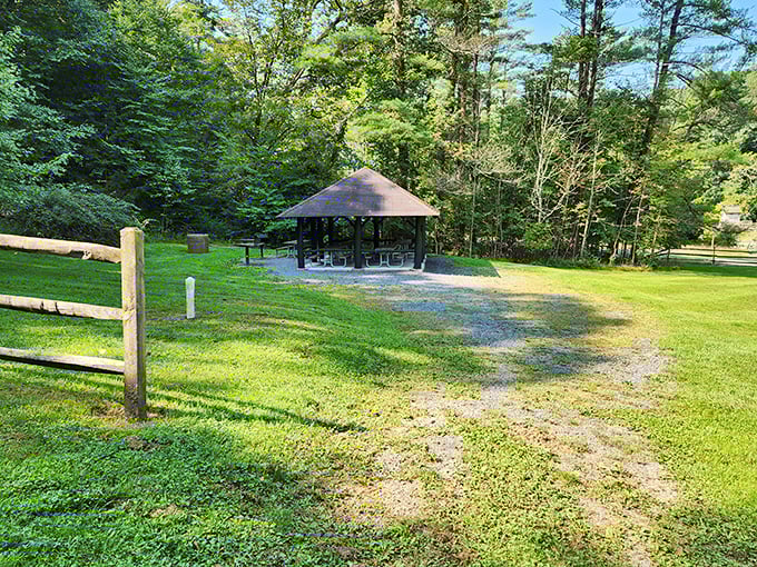 Perfect picnic spots where the only reservation you need is a willingness to slow down and breathe.