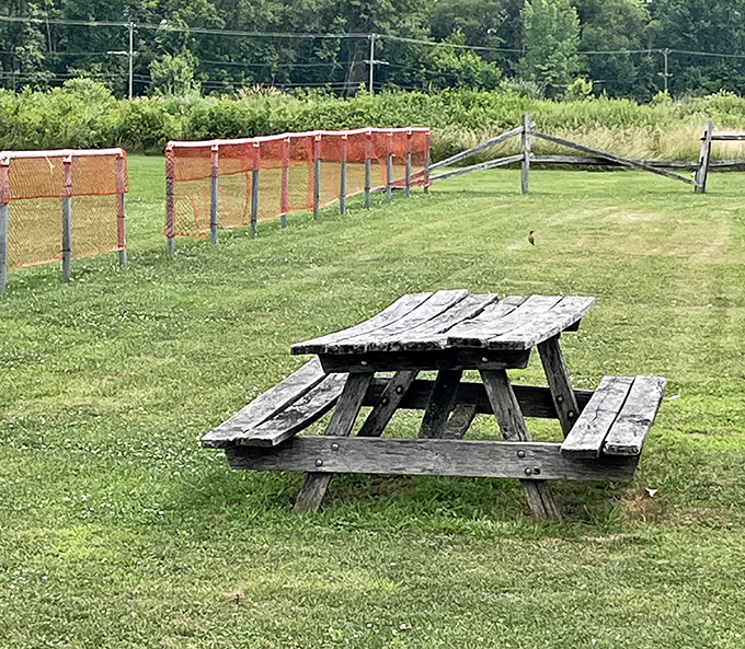 The humble picnic table &ndash; nature's dining room where sandwiches somehow taste better and conversations flow easier than at any five-star restaurant.
