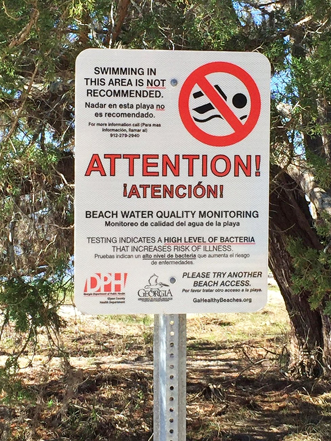 Important reminders that nature isn't always swimmer-friendly. Even paradise occasionally needs a "look but don't touch" approach.