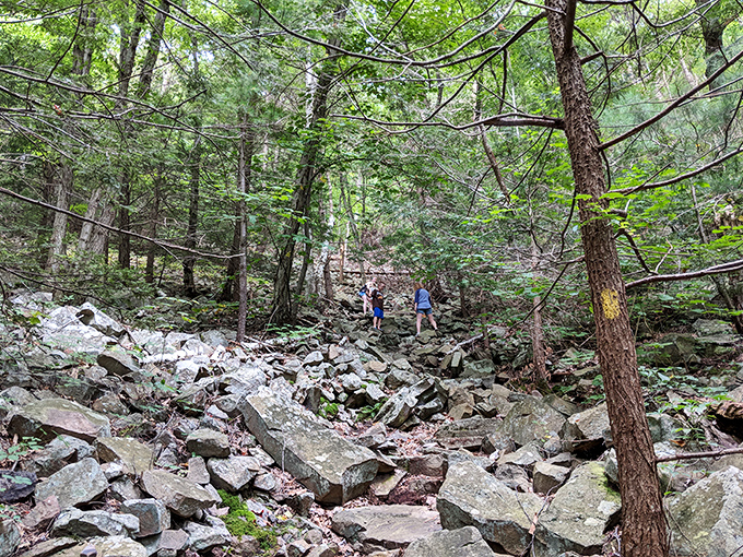 Nature's obstacle course of tumbled boulders challenges hikers. The reward for navigating this rocky path? Bragging rights and stronger calves.