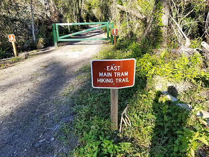 Trail signs in nature: where "you can't miss it" meets "you might actually miss it." The East Main Tram awaits those brave enough to follow. 