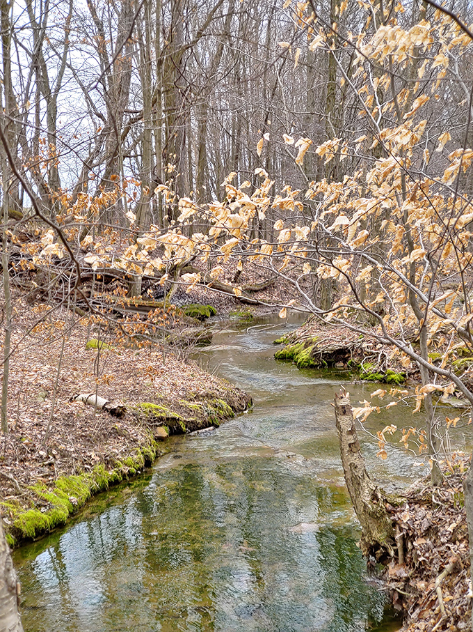 The gentle stream leading to the falls reminds us that even the mightiest waterfalls start somewhere small and unassuming.