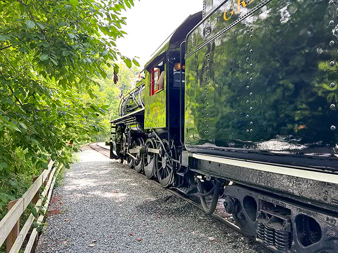 Steam locomotives bring back the romance of rail travel with authentic chuffs and billowing clouds.