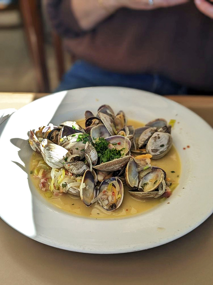 Steamed clams bathing in a garlicky broth that you'll want to soak up with every piece of sourdough within reach.