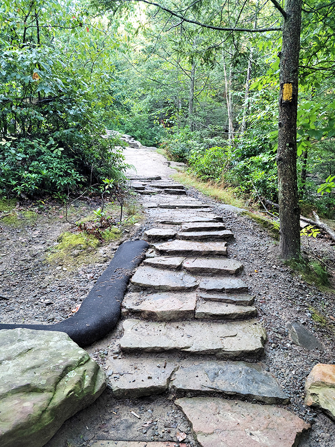 These stone steps weren't laid by landscapers but by trail stewards who understand that sometimes the journey is the destination.