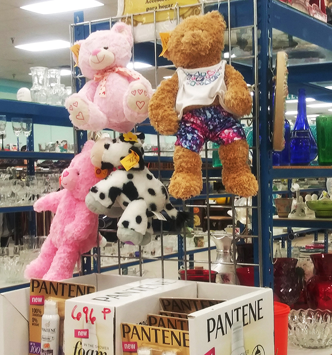 Stuffed animals hanging around like fuzzy sentinels guarding glassware below. That teddy bear has seen things but isn't telling.
