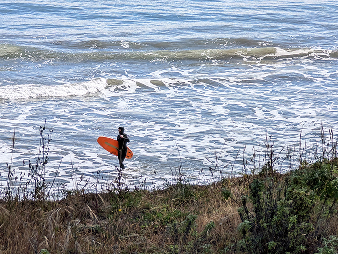 The ultimate California commute – a lone surfer heading to the office where meetings are with waves and deadlines are set by tides.