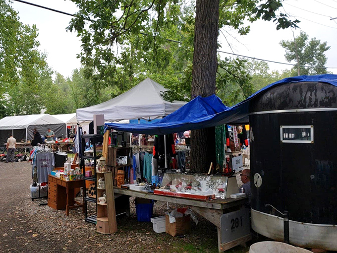 Mother Nature provides the ceiling while vendors create rooms without walls. The outdoor shopping experience feels both primitive and perfectly civilized.