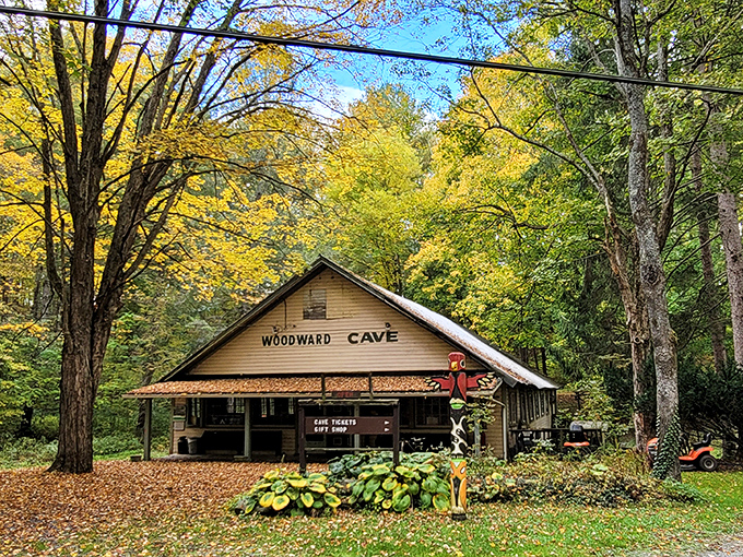 The charming ticket office sits nestled among autumn trees, promising underground adventures that await just steps away.