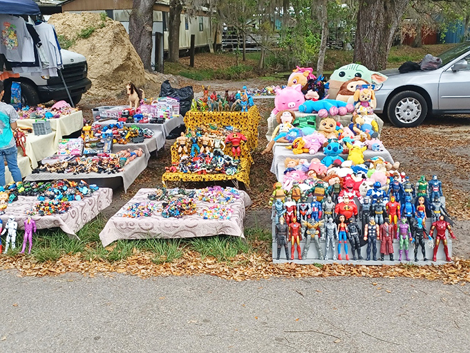 Childhood nostalgia spread across blankets. From cuddly plush friends to action figures, these toys await their second act in new homes.