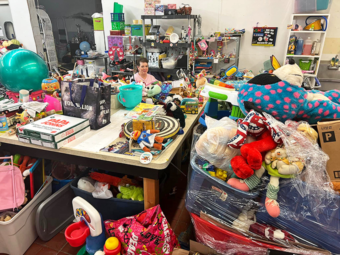 The toy section looks like Santa's workshop after an inventory explosion. Somewhere in this organized chaos is the exact stuffed animal someone's been missing since 1997.