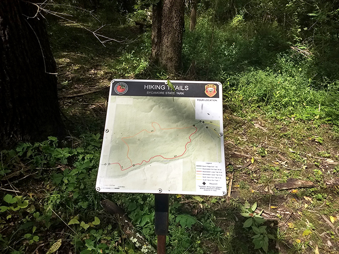 "You are here"&mdash;four words that somehow always bring comfort. This trail map promises adventures through Ohio's natural treasures.