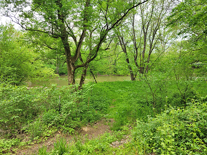 Nature provides the perfect backdrop, proving that the best collaborations happen between human hands and Mother Earth.