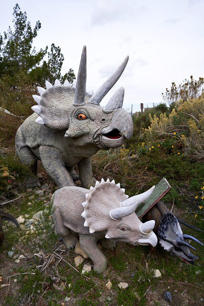 This triceratops duo showcases the gentler side of the dinosaur kingdom with impressive horned detail.