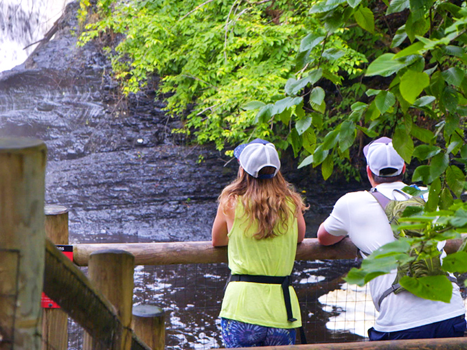 Some views are worth sharing&mdash;even with your four-legged hiking buddy. This overlook delivers panoramic perfection that no smartphone camera can fully capture.
