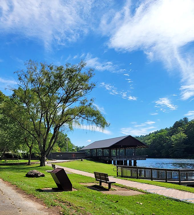 Benches, pathways, and that view! This lakeside setup is basically nature's living room, minus the remote control fights.