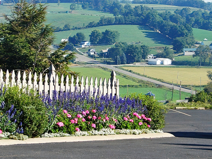 Room with a view. From the Carlisle Inn, rolling hills dotted with farms and white picket fences stretch toward the horizon like a living landscape painting.