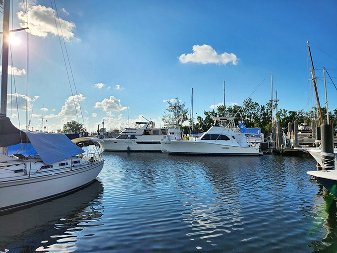 The view from your table isn't just scenery&mdash;it's dinner's backstory. Those boats didn't park here for the ambiance; they're working vessels bringing tonight's specials.