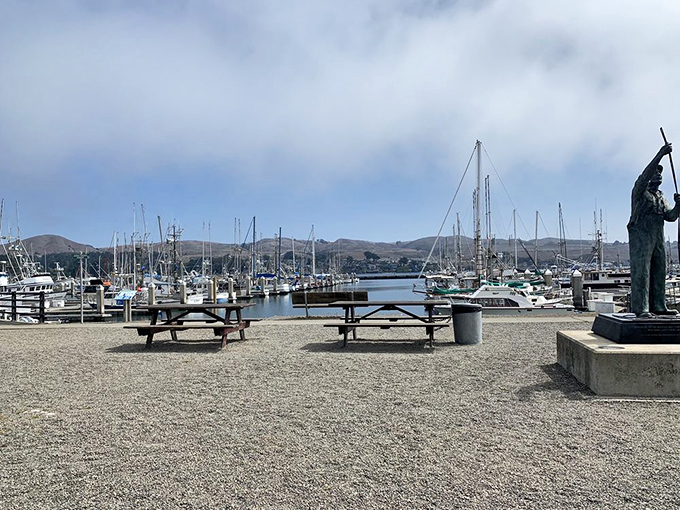 Dining with a view of bobbing boats and misty hills. Your seafood probably waved goodbye to these vessels just hours ago.