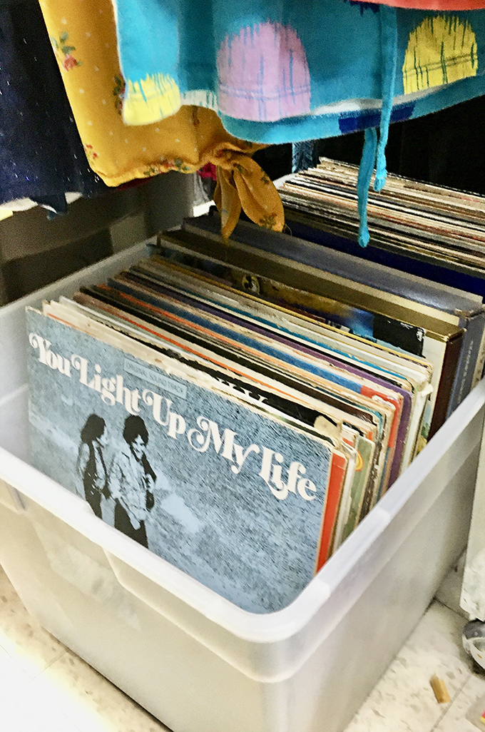 Vinyl records nestled in plastic bins&mdash;analog treasures in a digital world. That "You Light Up My Life" album might just complete your ironic collection.