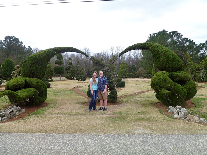 The perfect frame for memories! These magnificent arches create an irresistible photo opportunity that captures the essence of this topiary wonderland.