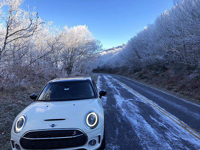 Winter turns the Blue Ridge Parkway into a frosted wonderland, with icy branches creating natural archways for the adventurous.