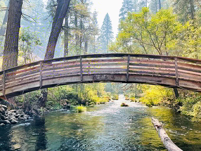 A bridge not too far &ndash; crossing this wooden span feels like stepping into a scene from a Hayao Miyazaki film.