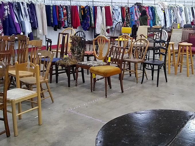 The chair convention, where no two seats are alike yet all share the same mission: find a forever home with someone who appreciates character.